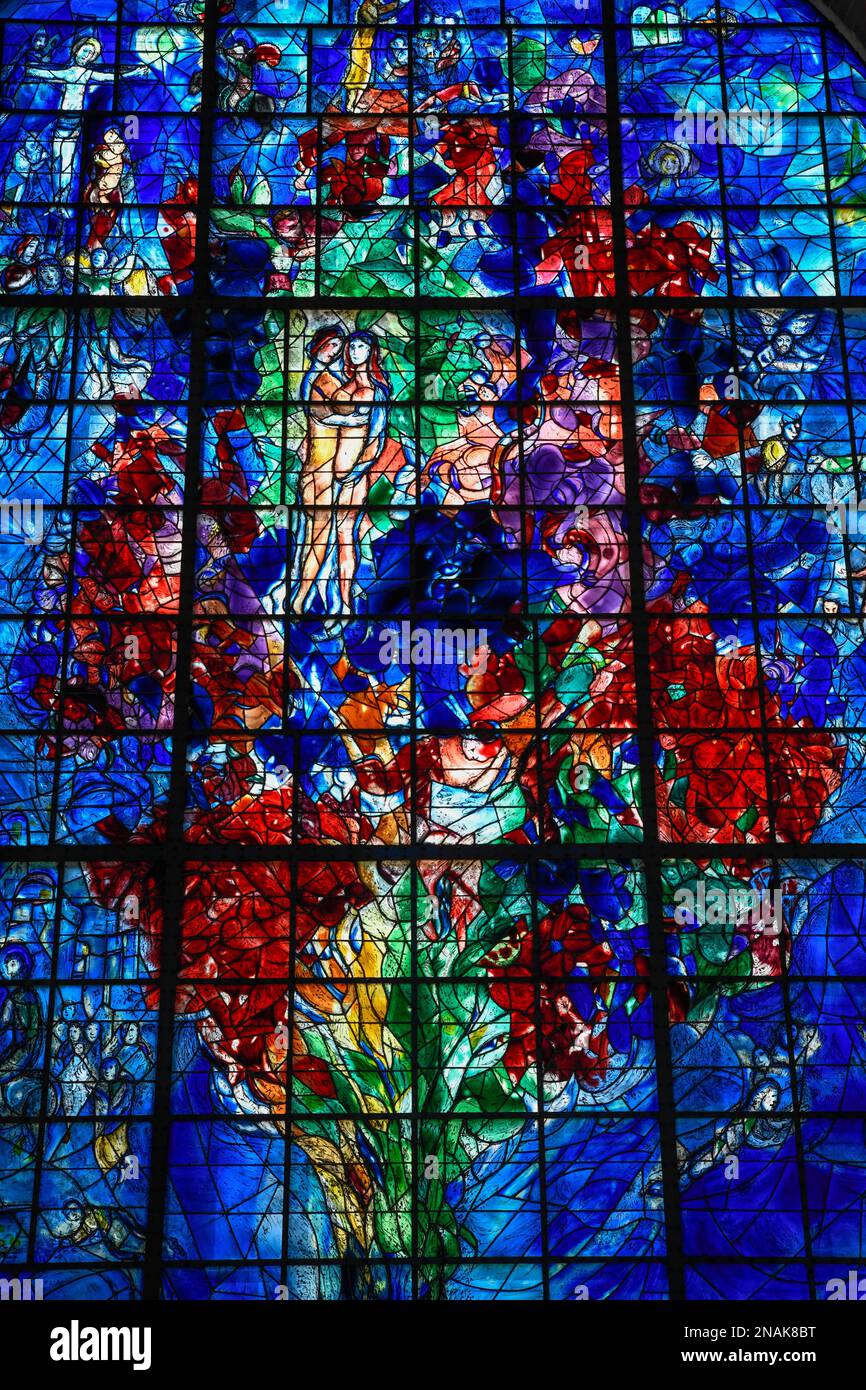 Monumental stained glass window La Paix, the Peace, by Marc Chagall in ...