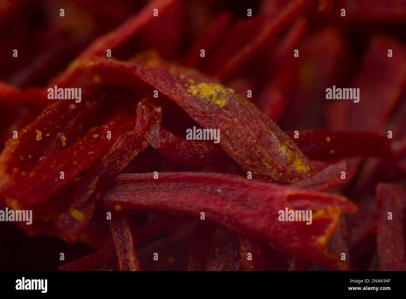 Close up on saffron texture Stock Photo - Alamy