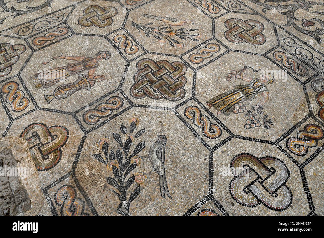 Early Christian floor mosaic from the 4th century, Basilica Santa Maria ...