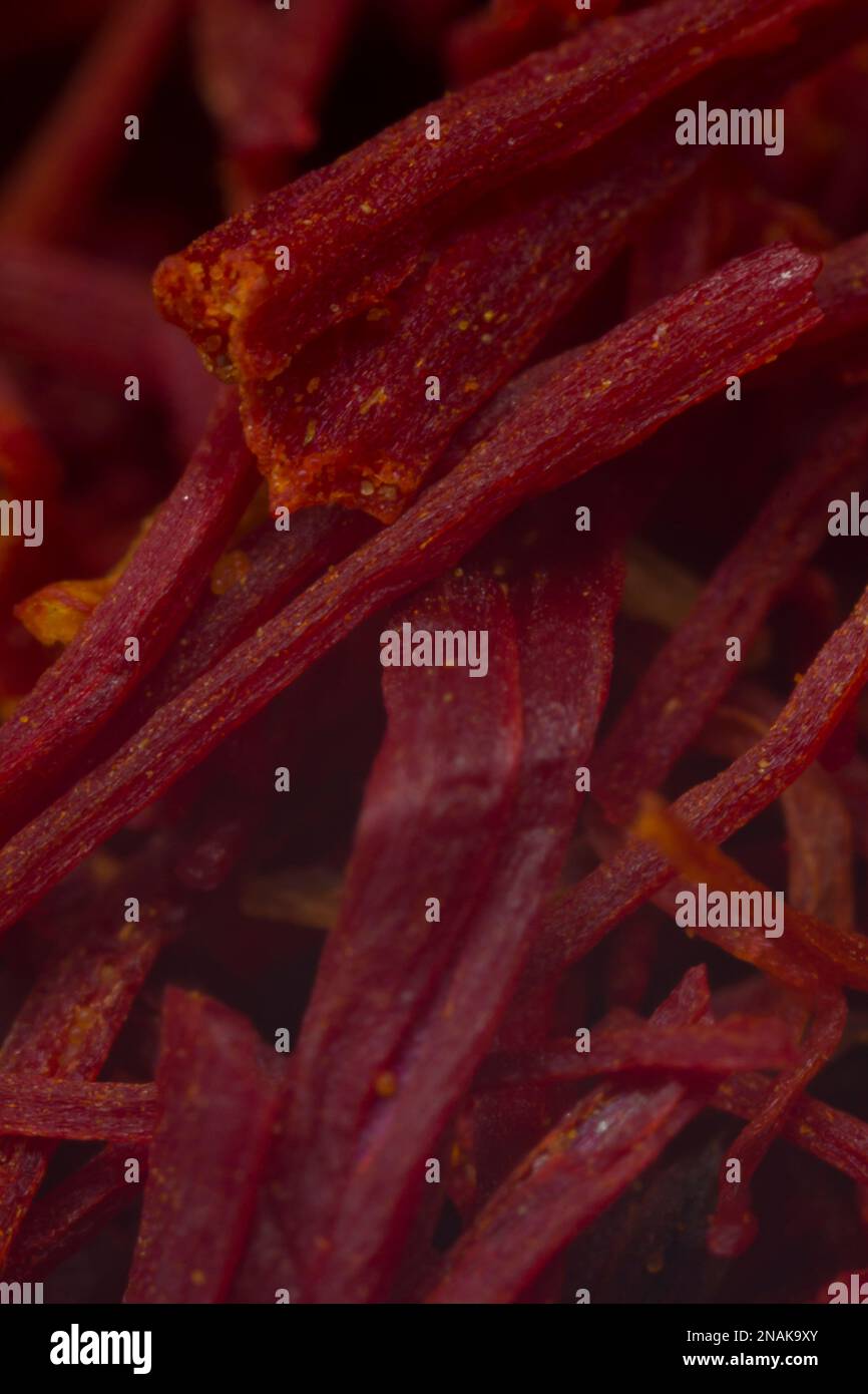 Close up on saffron texture Stock Photo - Alamy
