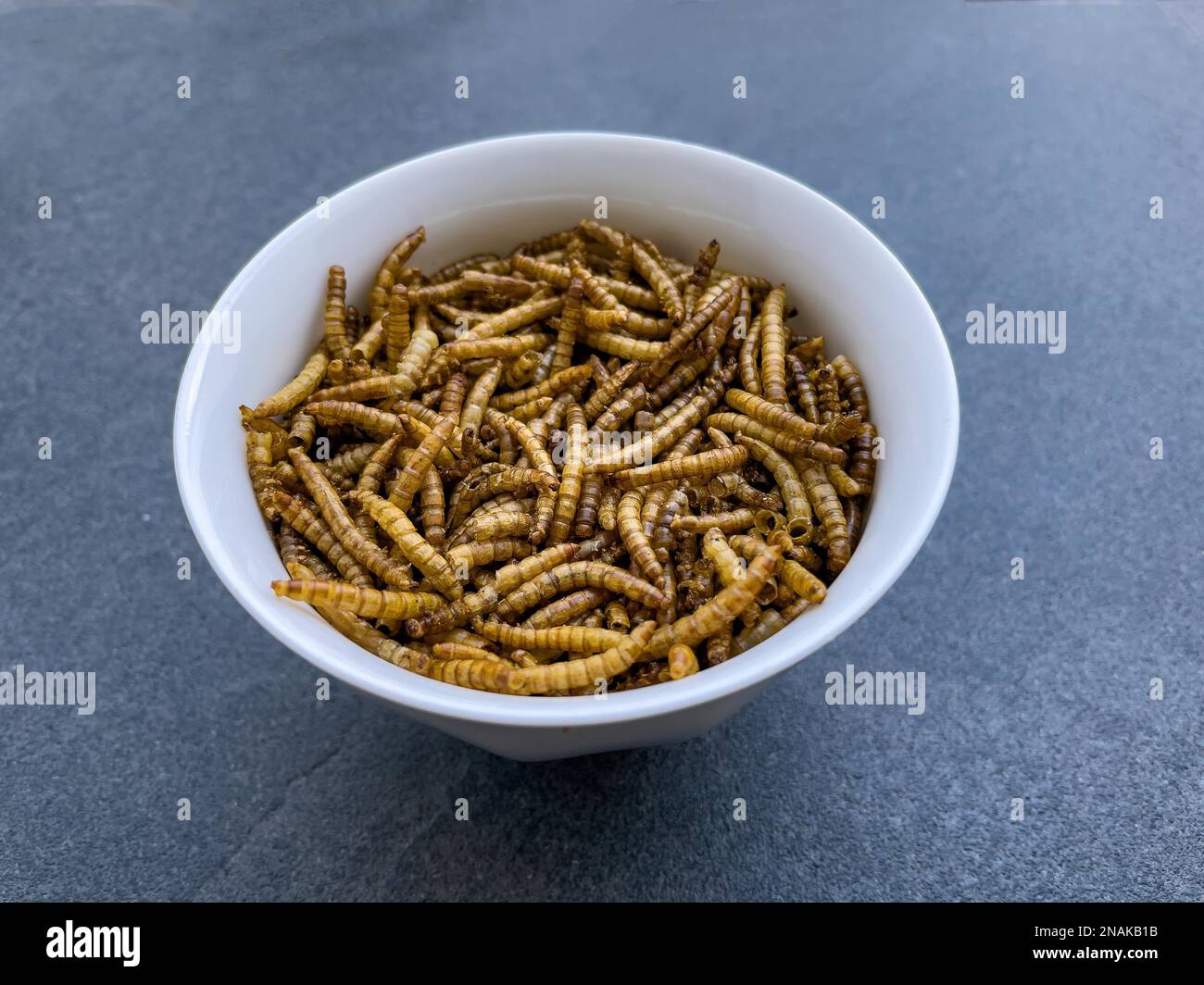 Dried insects hi-res stock photography and images - Alamy