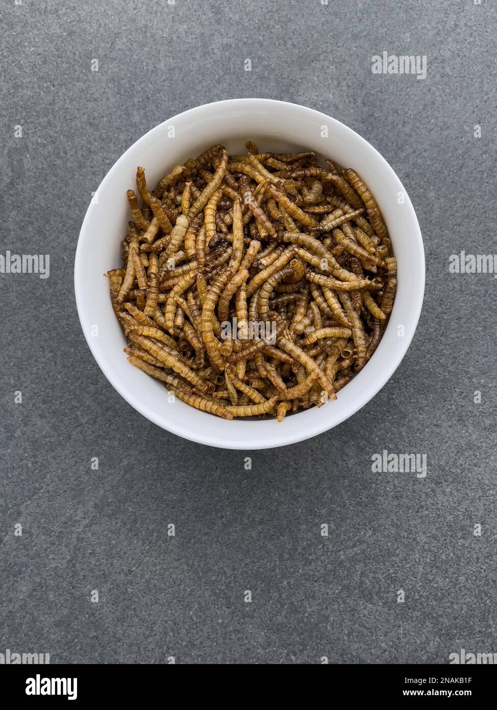 Dried insects hi-res stock photography and images - Alamy