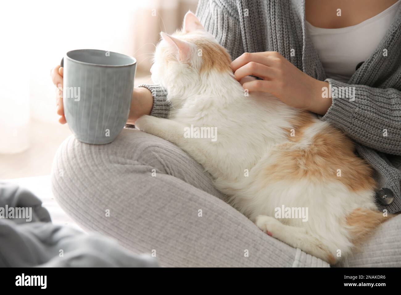 Woman with cute fluffy cat and tea on light background, closeup Stock ...
