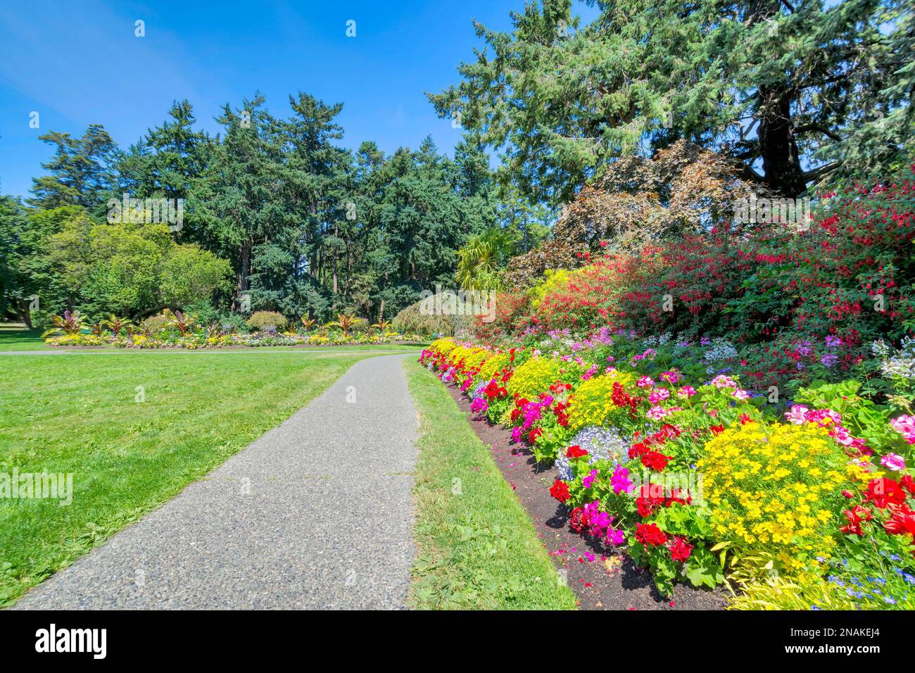 Green wide open meadow in a park with paved pathway Stock Photo - Alamy