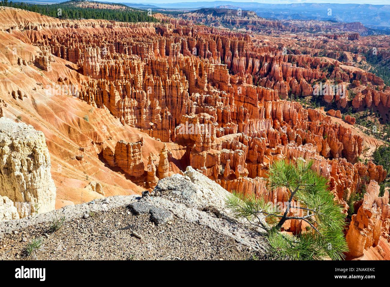 Inspiration Point Lookout in the Bryce Canyon National Park. Utah USA ...