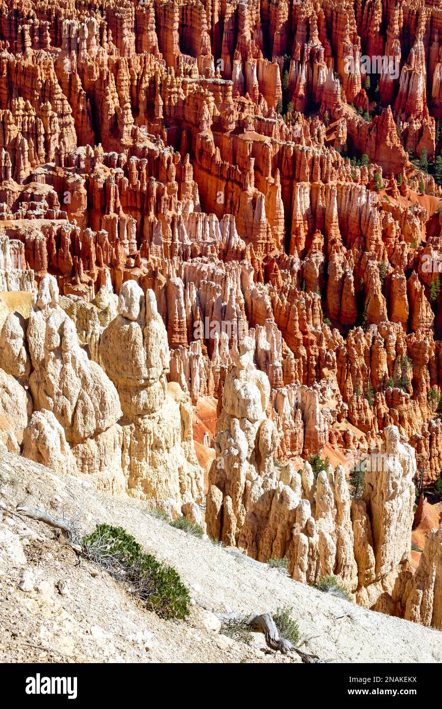 Inspiration Point Lookout in the Bryce Canyon National Park. Utah USA ...