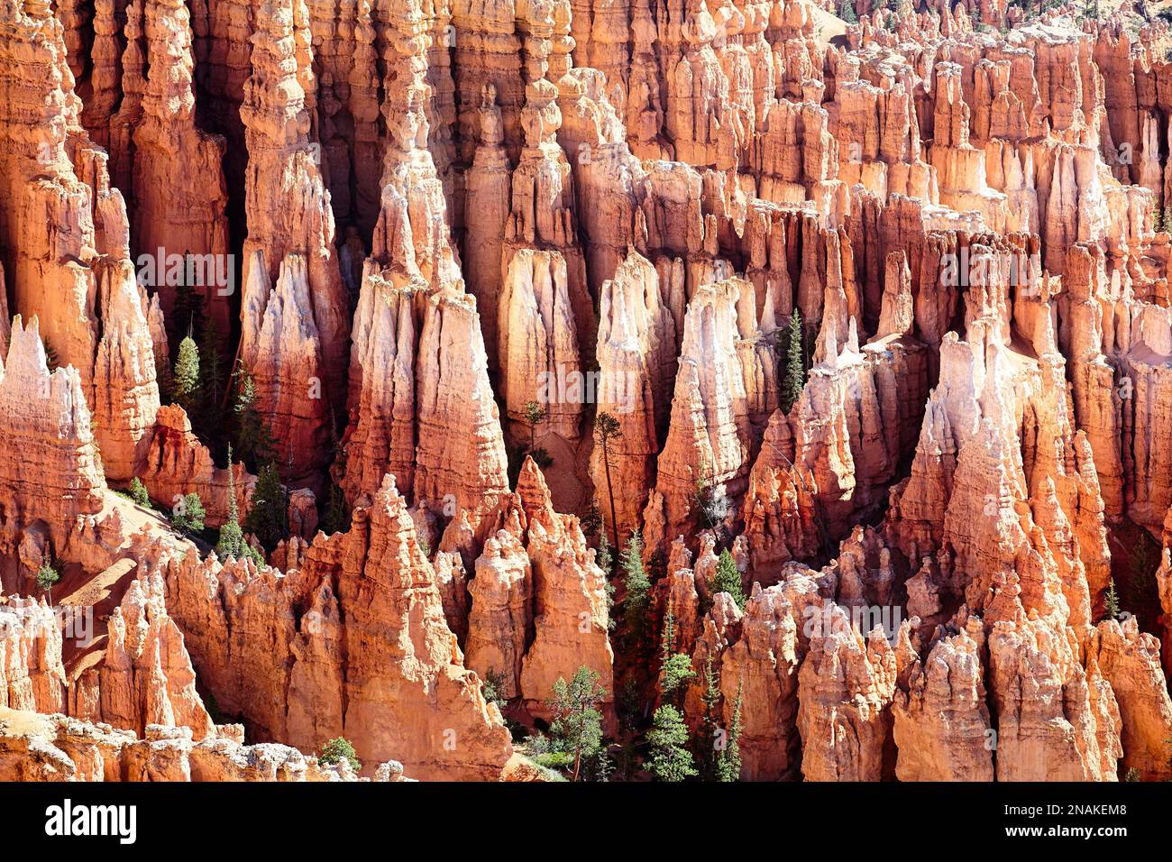 Inspiration Point Lookout in the Bryce Canyon National Park. Utah USA ...