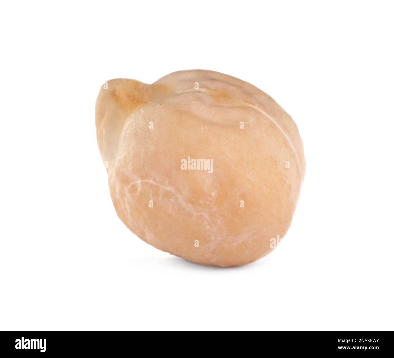 One chickpea isolated on white. Natural food Stock Photo - Alamy