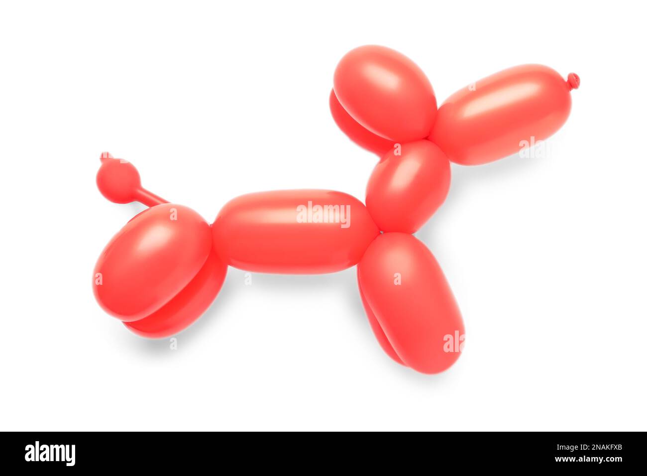 Red dog figure made of modelling balloon on white background, top view ...