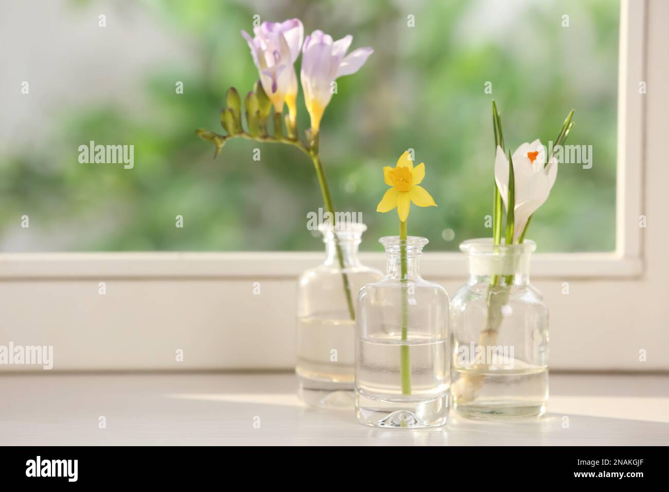 Beautiful spring flowers on window sill indoors Stock Photo - Alamy