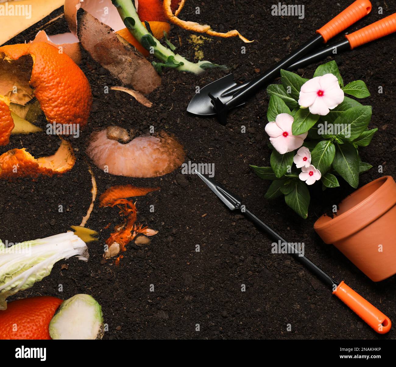 Gardening tools, flower and organic waste for composting on soil, flat ...