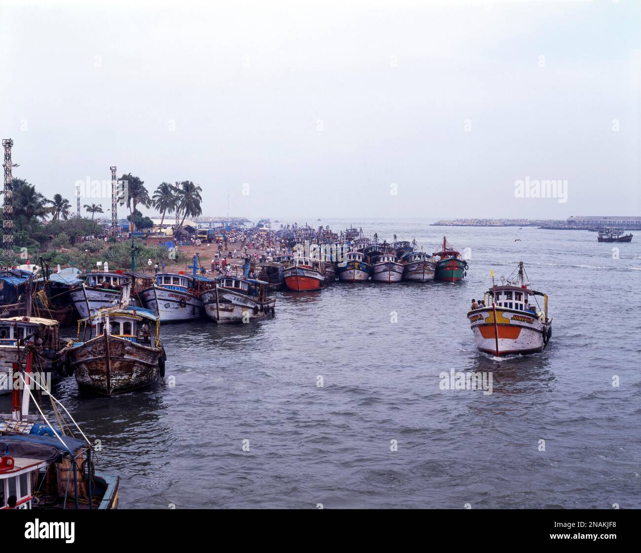 Fishing yard in Quilon or Kollam, Kerala, India, Asia Stock Photo - Alamy