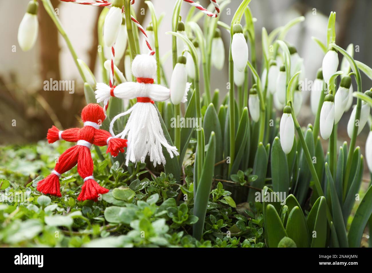 Traditional martisor and beautiful snowdrops outdoors. Symbol of first ...