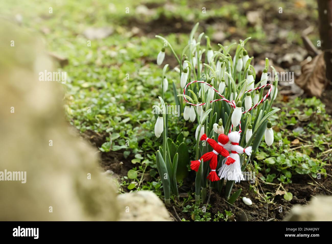 Traditional martisor and beautiful snowdrops outdoors. Symbol of first ...