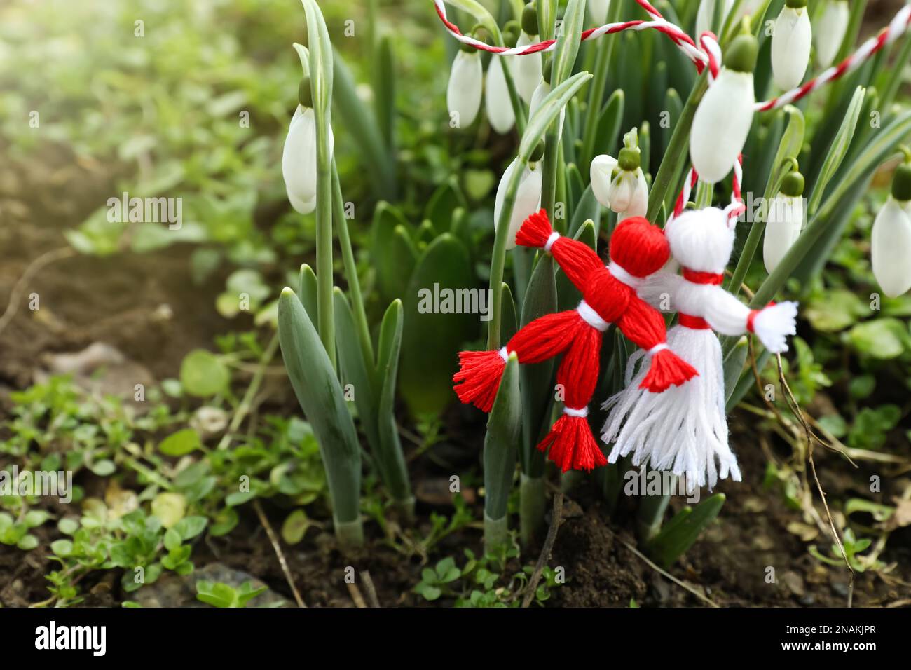 Traditional martisor and beautiful snowdrops outdoors. Symbol of first ...