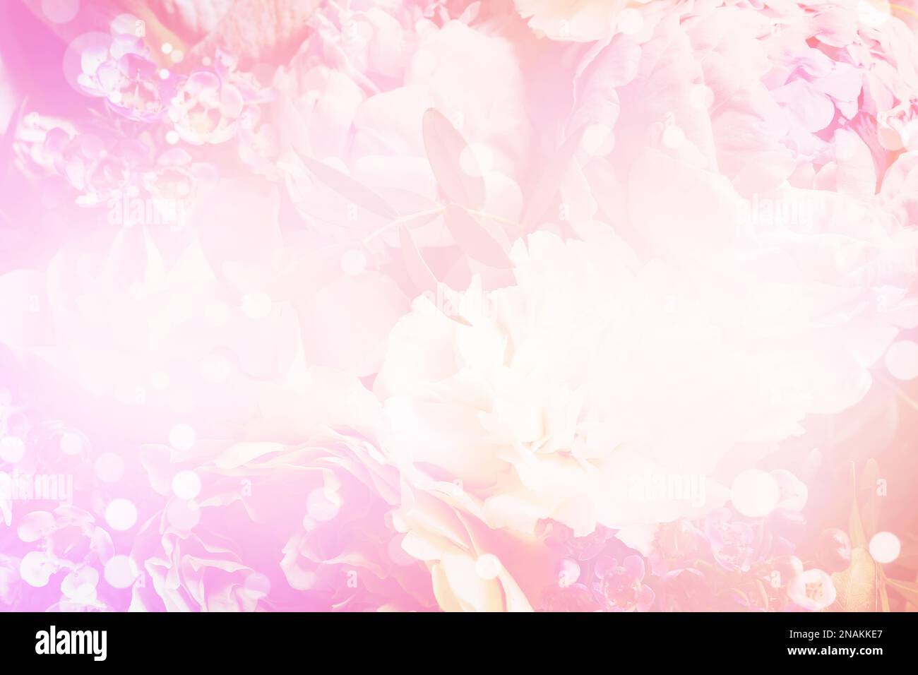 Tender flowers as background. Floral card design Stock Photo - Alamy