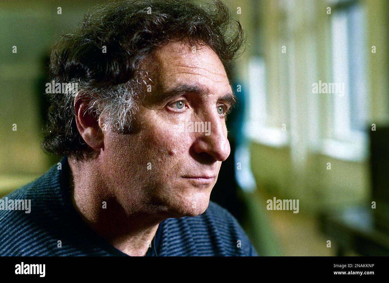 Portrait of American actor Judd Hirsch taken in February 1992. (AP ...