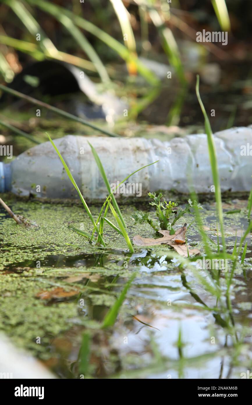 Close up of plastic bottle waste discarded in a UK woodland river ...