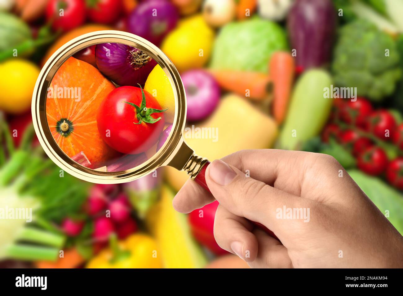 Woman with magnifying glass exploring vegetables, closeup. Poison ...