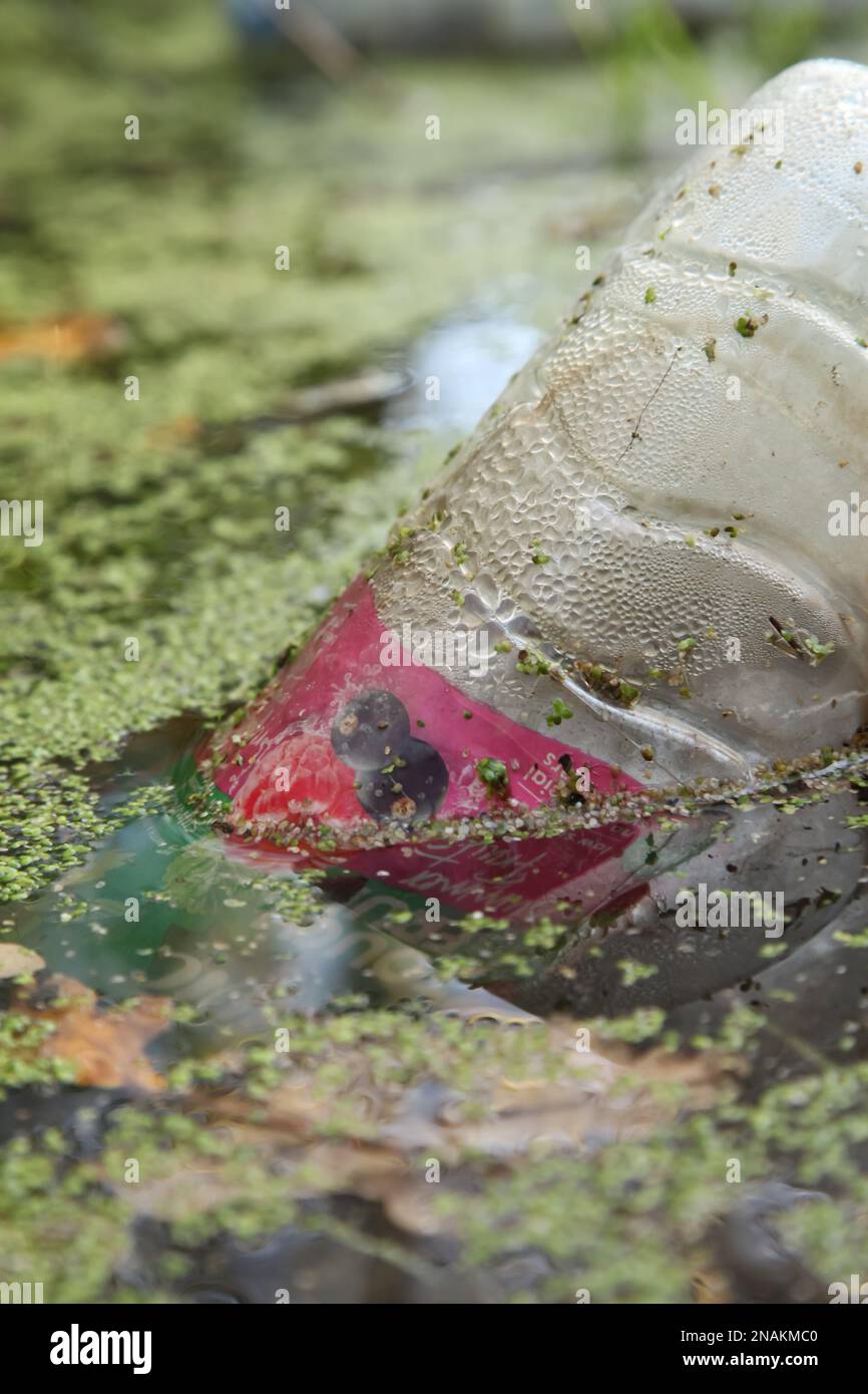 Close up of plastic bottle waste discarded in a UK woodland river ...