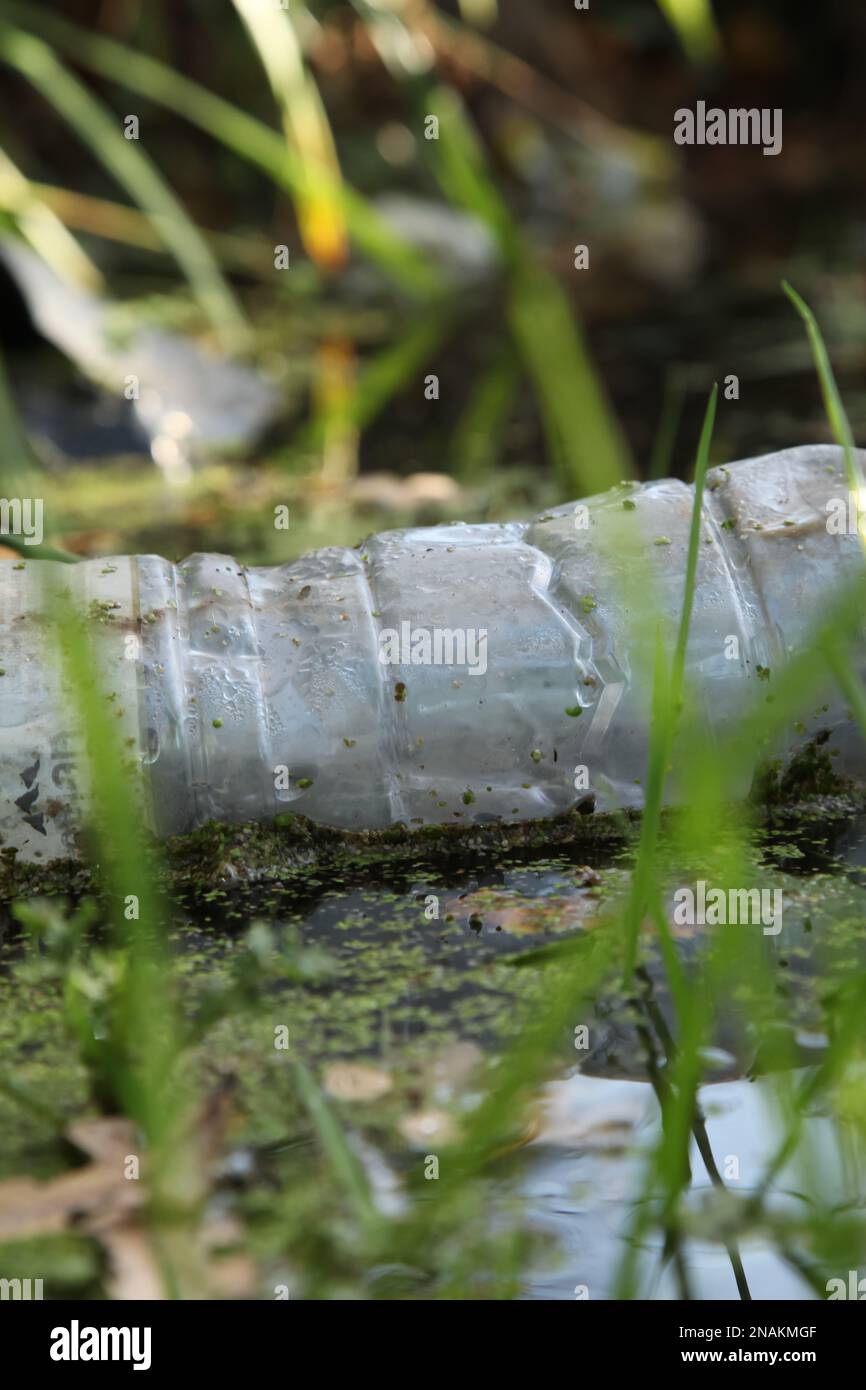 Close up of plastic bottle waste discarded in a UK woodland river ...