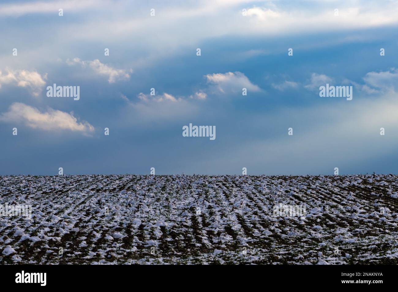 Empty landscape winter sunlight hi-res stock photography and images - Alamy