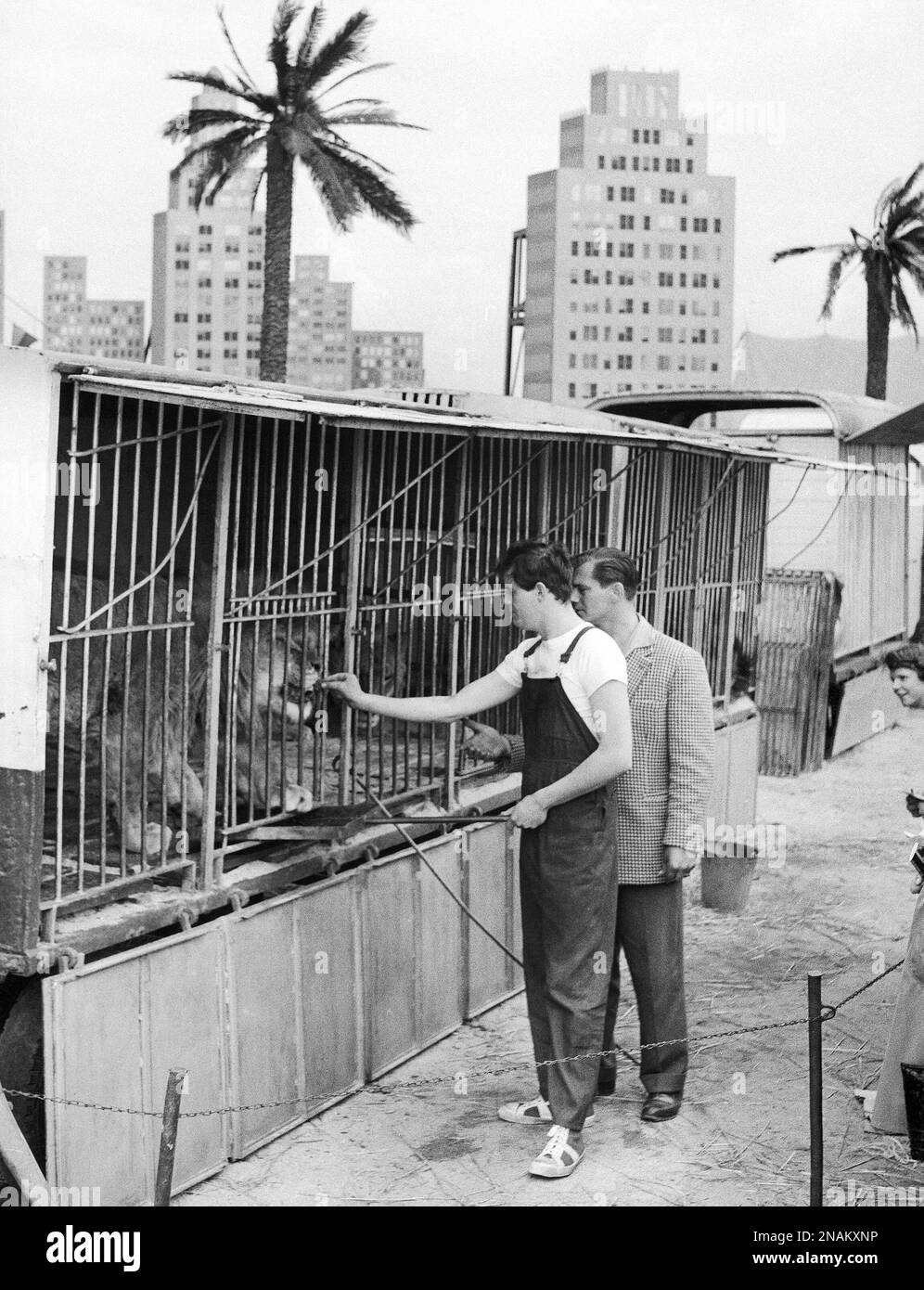 German actor Walter Giller in his role of circus clown Luggi, feeds ...