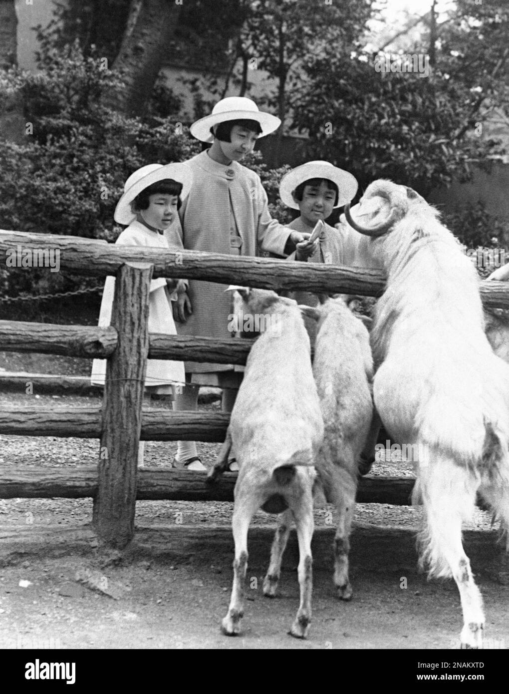 The three daughters of the Emperor and Empress of Japan Princesses Yori ...