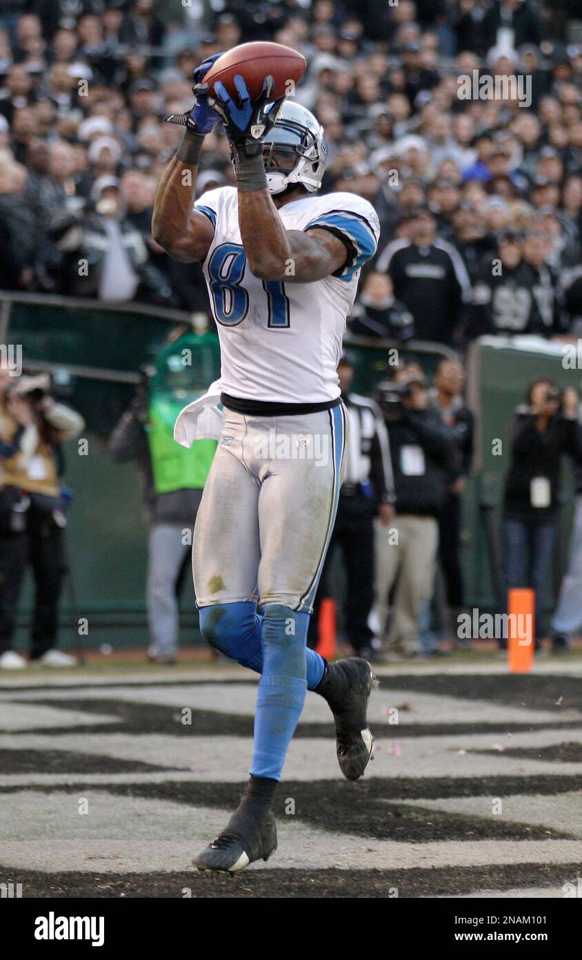 Detroit Lions wide receiver Calvin Johnson catches a 6-yard touchdown ...