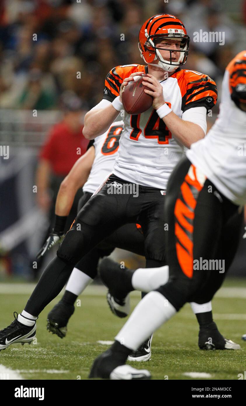 Cincinnati Bengals quarterback Andy Dalton drops back to pass during ...