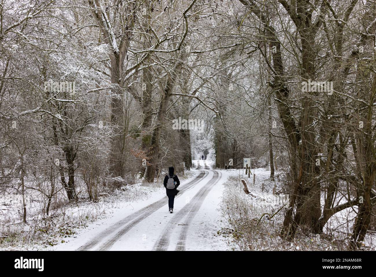 Lonely road in forest hi-res stock photography and images - Alamy