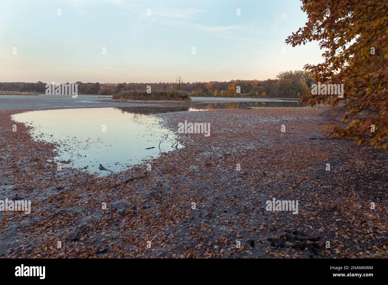 Puddle drain hi-res stock photography and images - Alamy