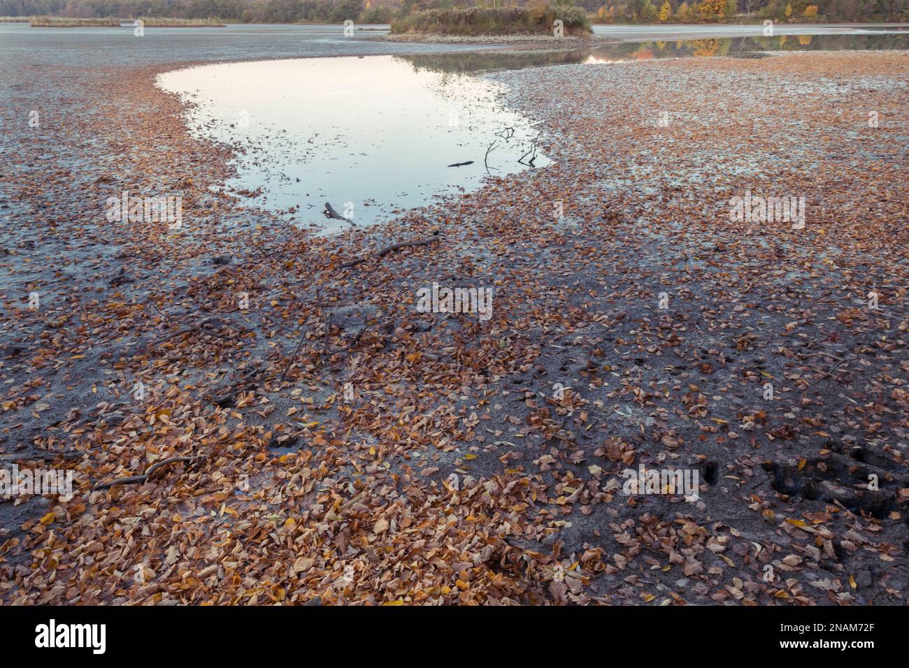 A puddle of water on a drained pond. Landscape Stock Photo - Alamy
