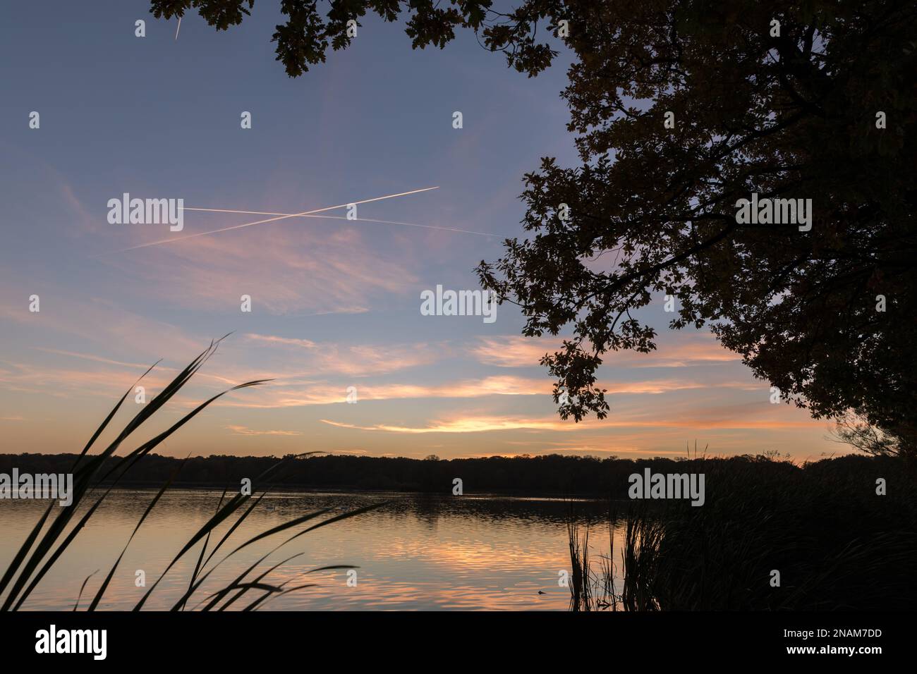 Low kee hi-res stock photography and images - Alamy