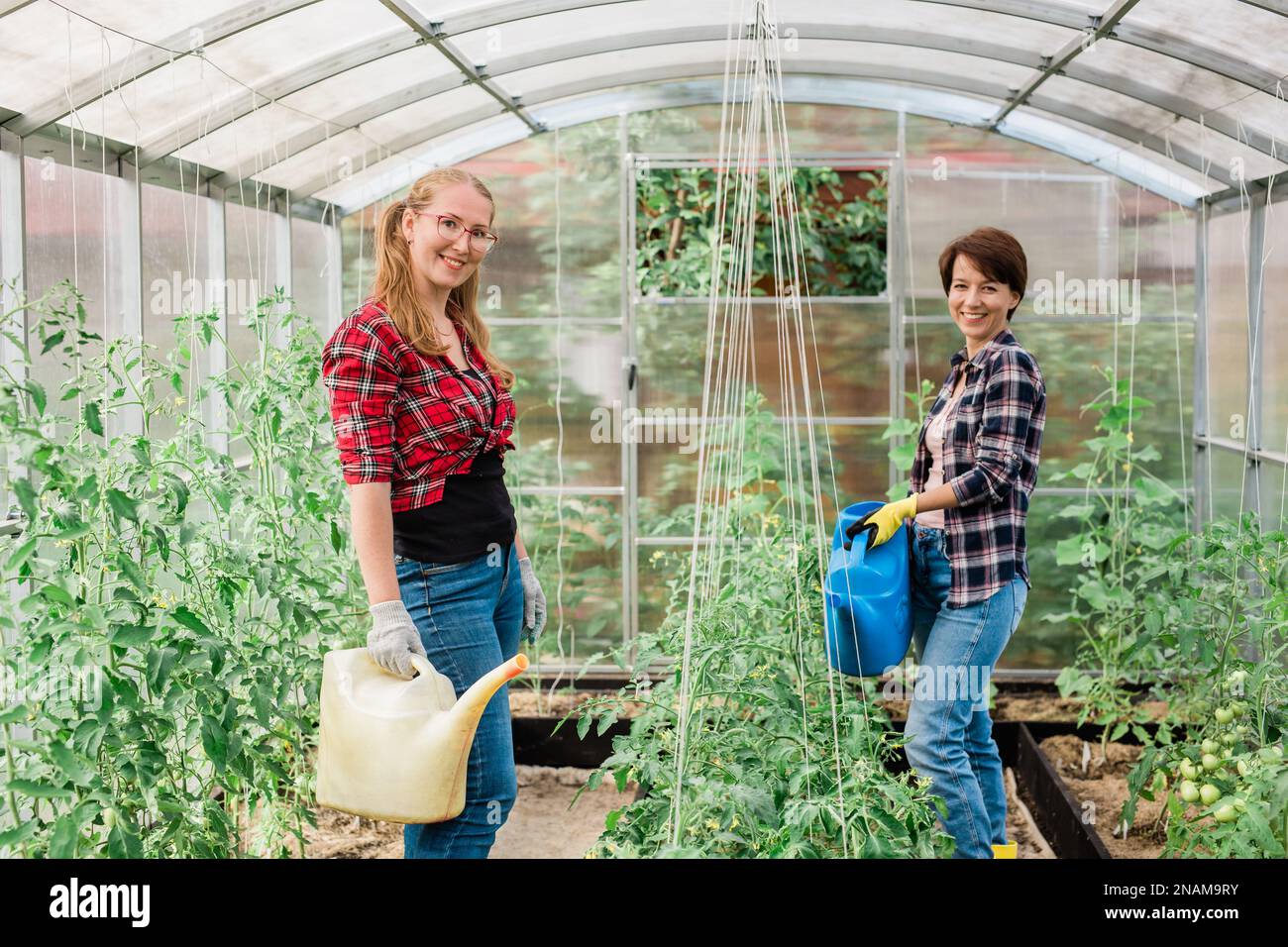 Watering vegetable garden. Portrait two women gardener in gloves waters ...