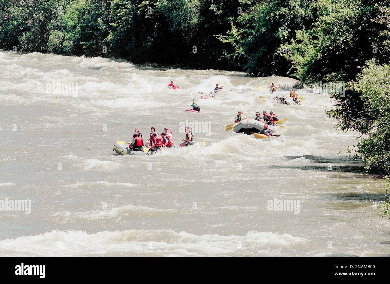 A line of white water rafters float down the swollen Kern River near ...