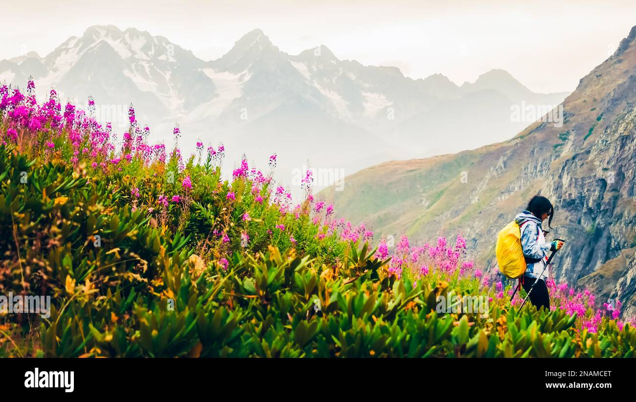 Female hiker with nordic walk pols hike downhill in green caucasus ...