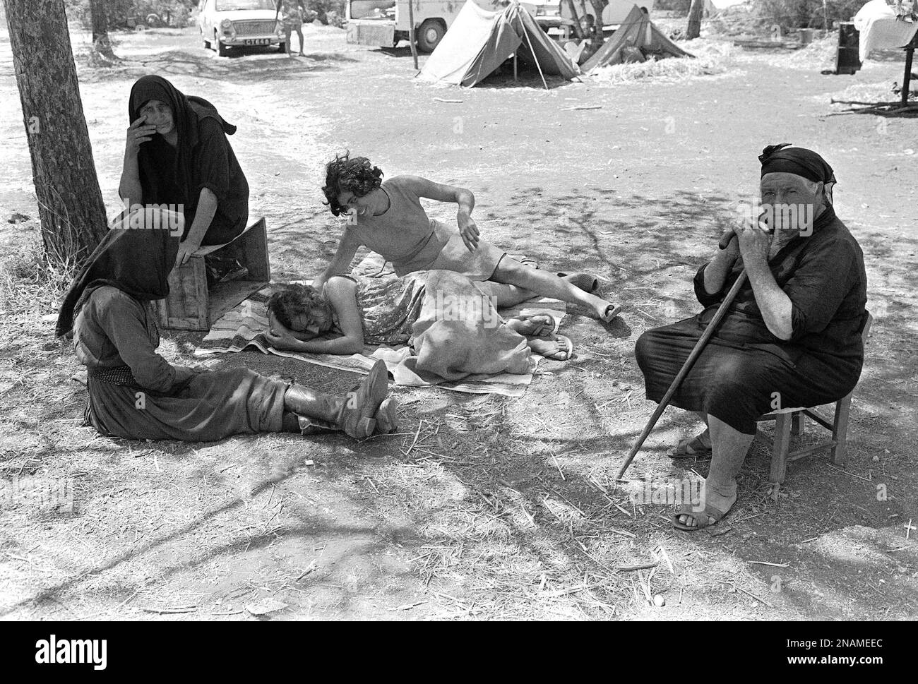 Greek Cypriot refugee women rest in the shade of a pine-tree inside a ...