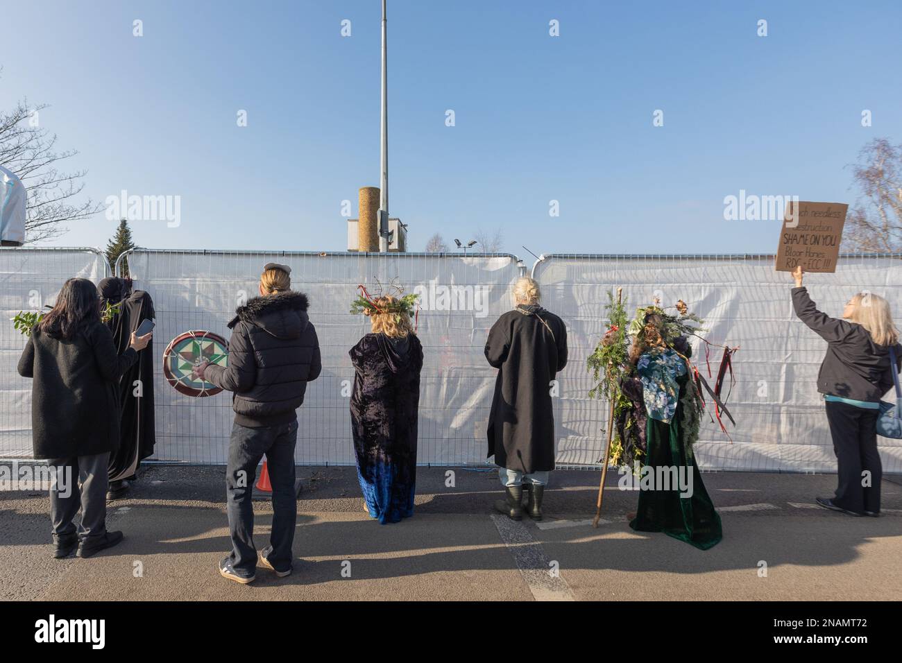 Boor tree hi-res stock photography and images - Alamy