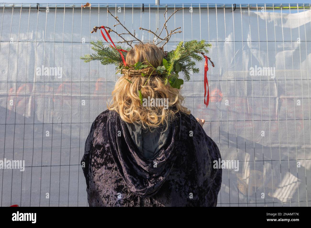 Boor tree hi-res stock photography and images - Alamy