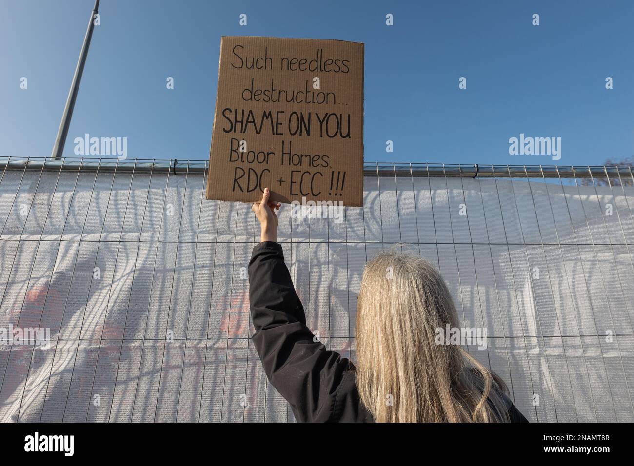 Boor tree hi-res stock photography and images - Alamy