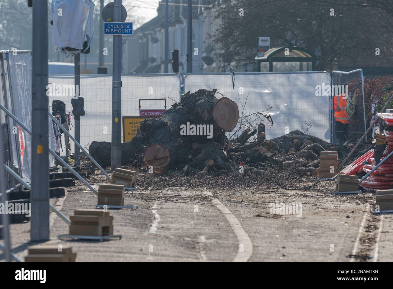 Boor tree hi-res stock photography and images - Alamy