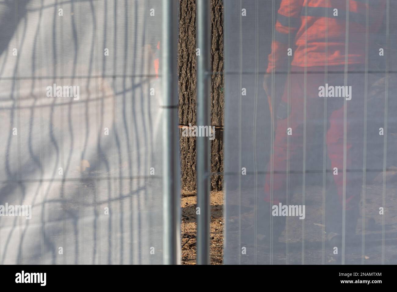 Boor tree hi-res stock photography and images - Alamy