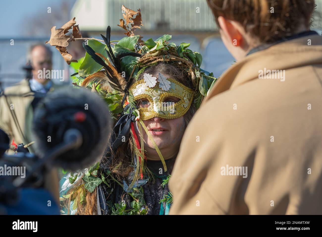 Boor tree hi-res stock photography and images - Alamy