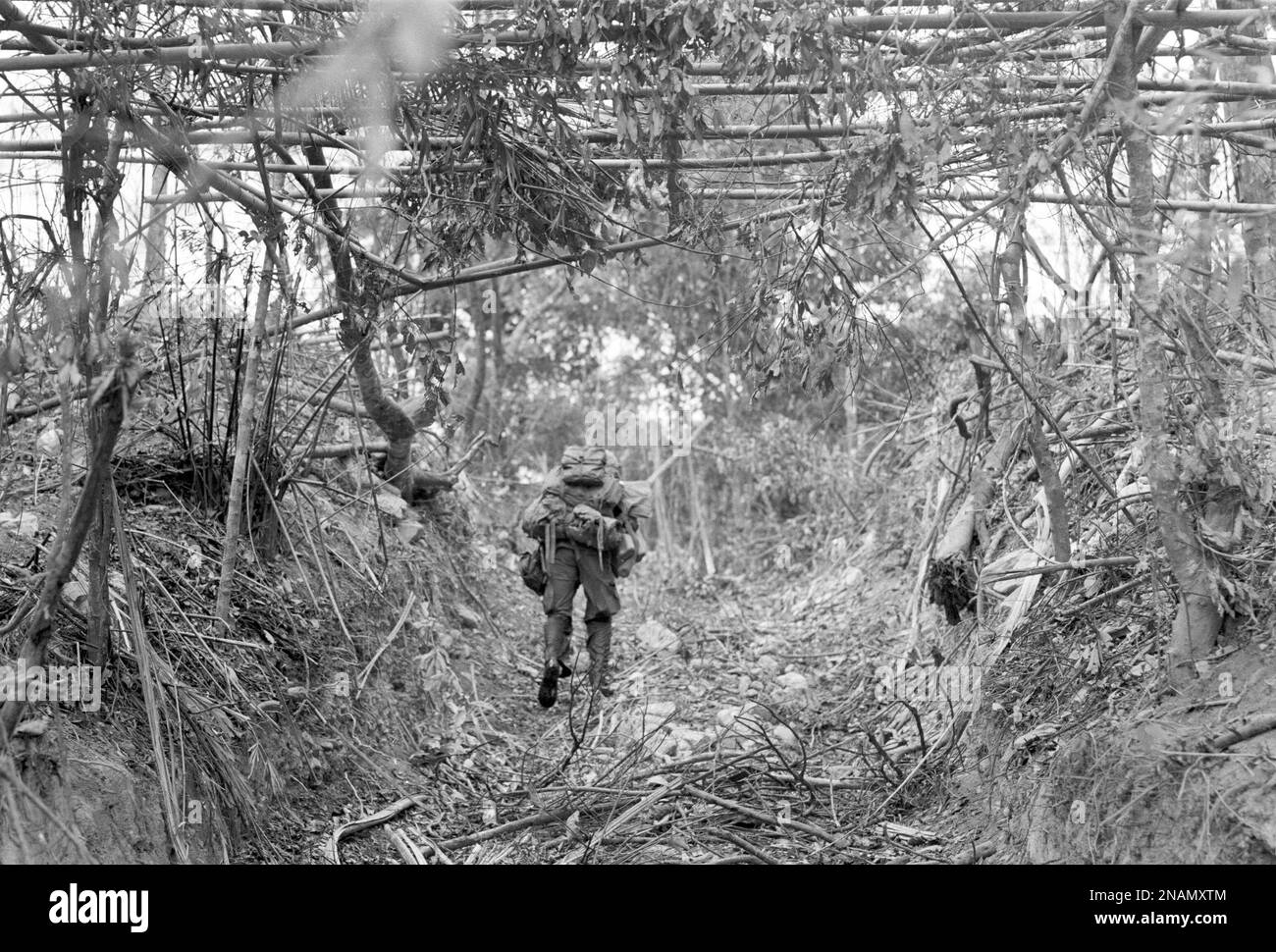 Operation Delaware in the A Shau Valley during the Vietnam War in April ...