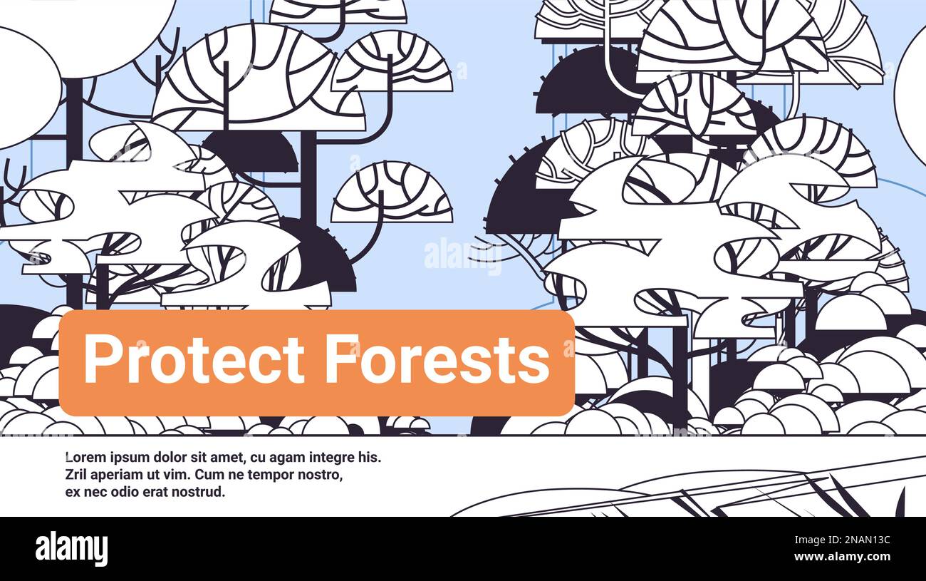 trees in forest beautiful nature landscape background protect forests ...