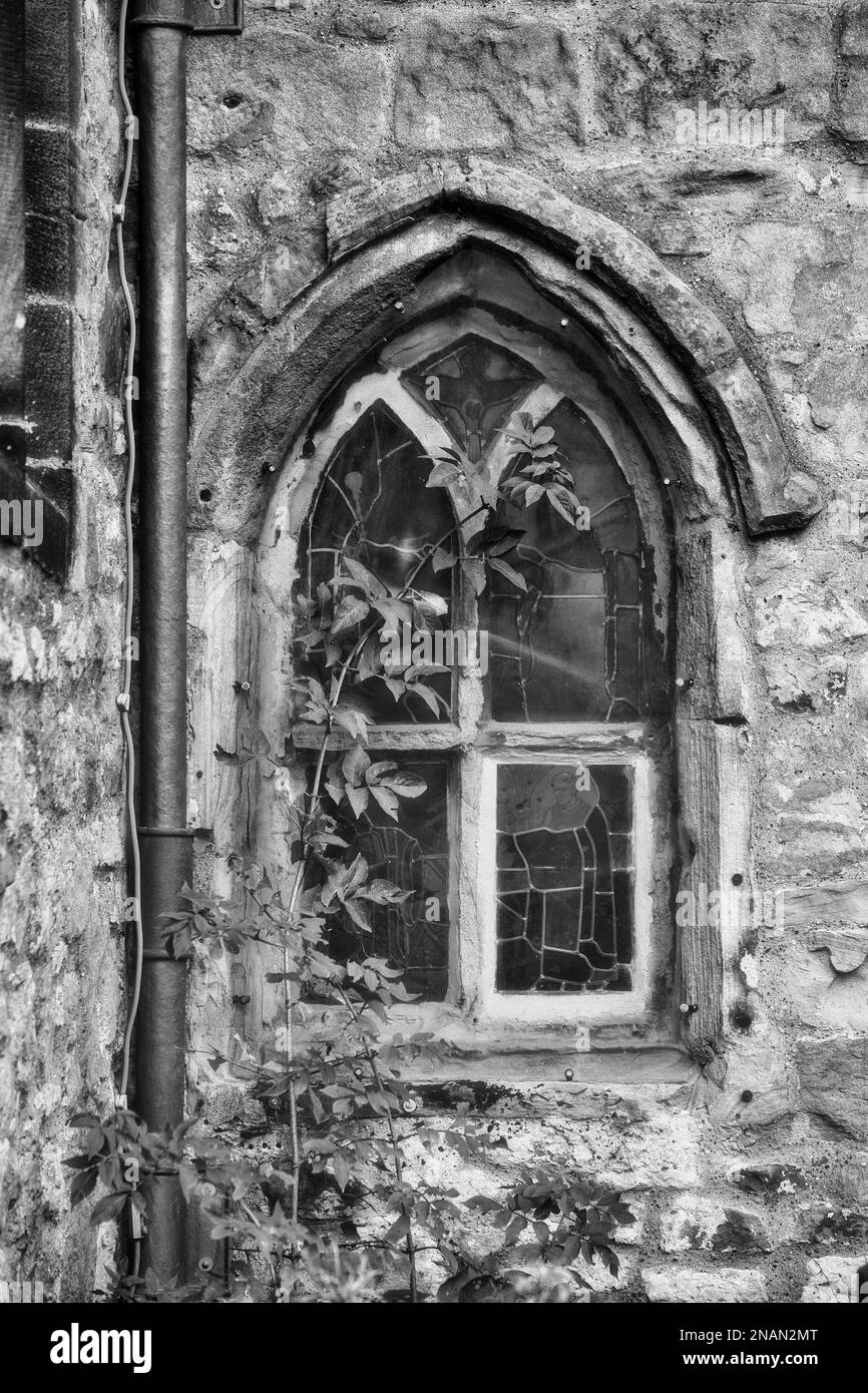 A vertical shot of medieval gothic-style arch church window, grayscale ...