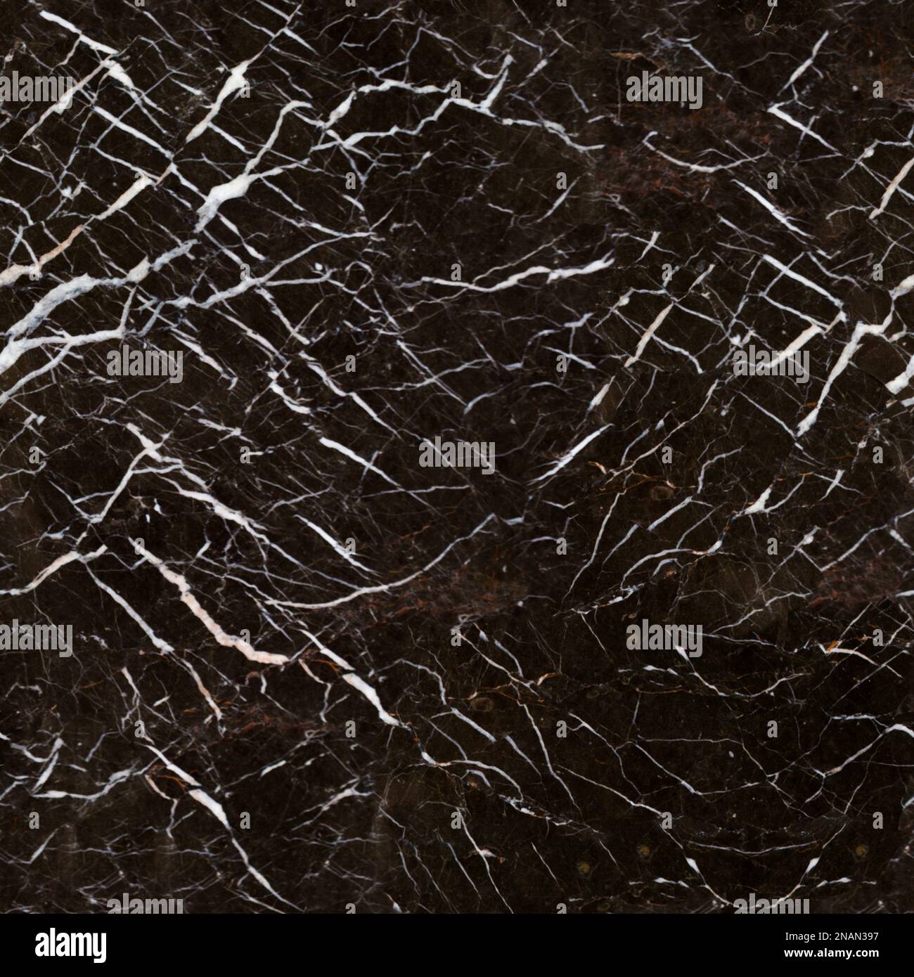 Contrast brown marble texture with white lines. Seamless square ...