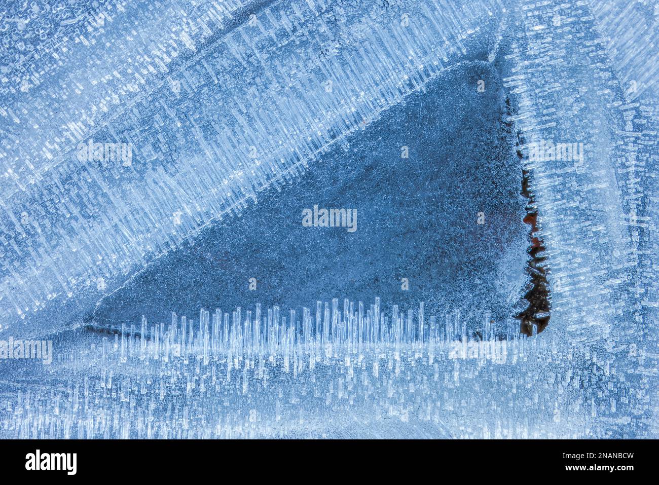Close-up of frost textures on the ground. Frost needles Stock Photo - Alamy