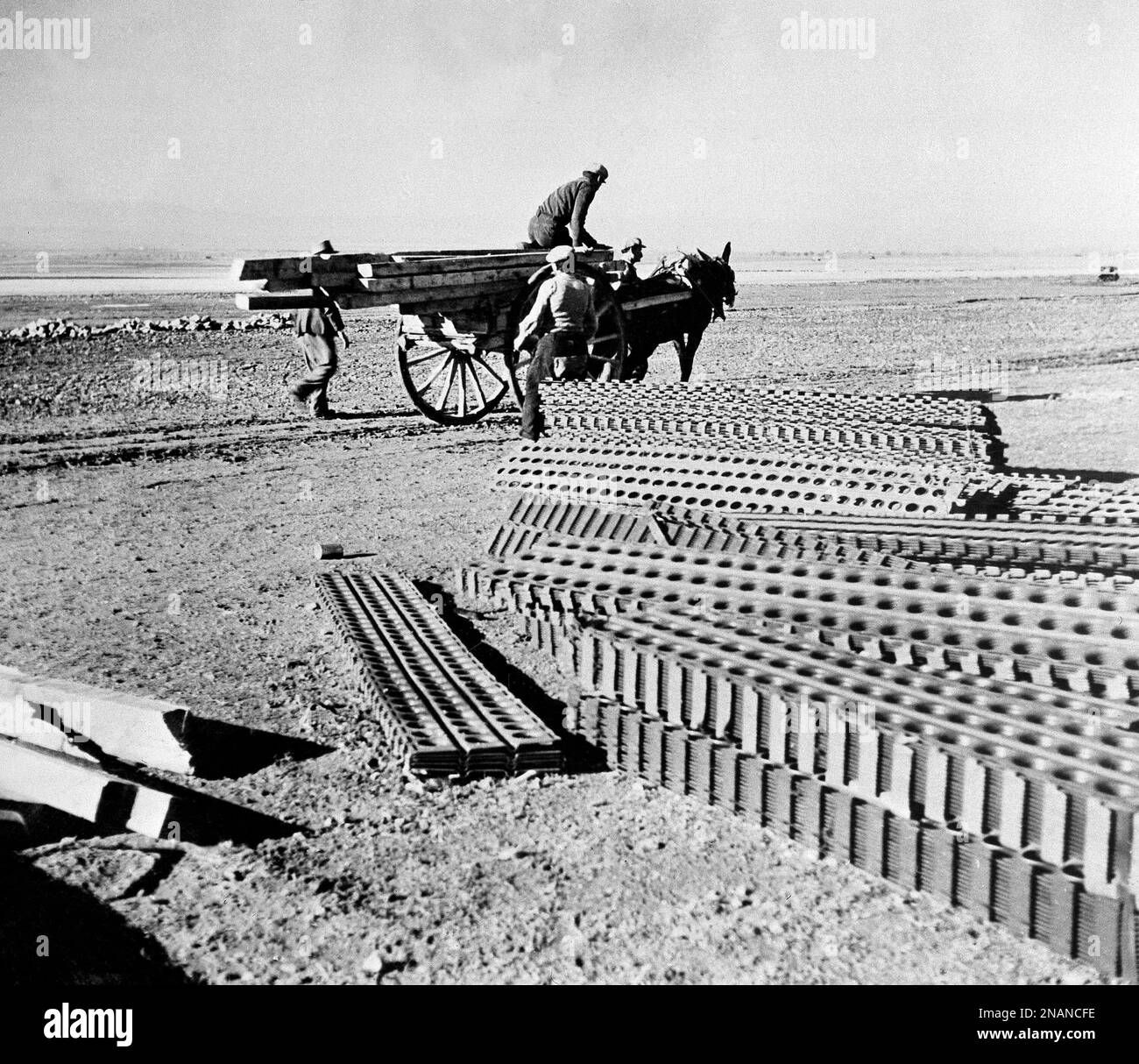 A donkey cart is used for hauling on an airport in Greece on Feb. 26 ...